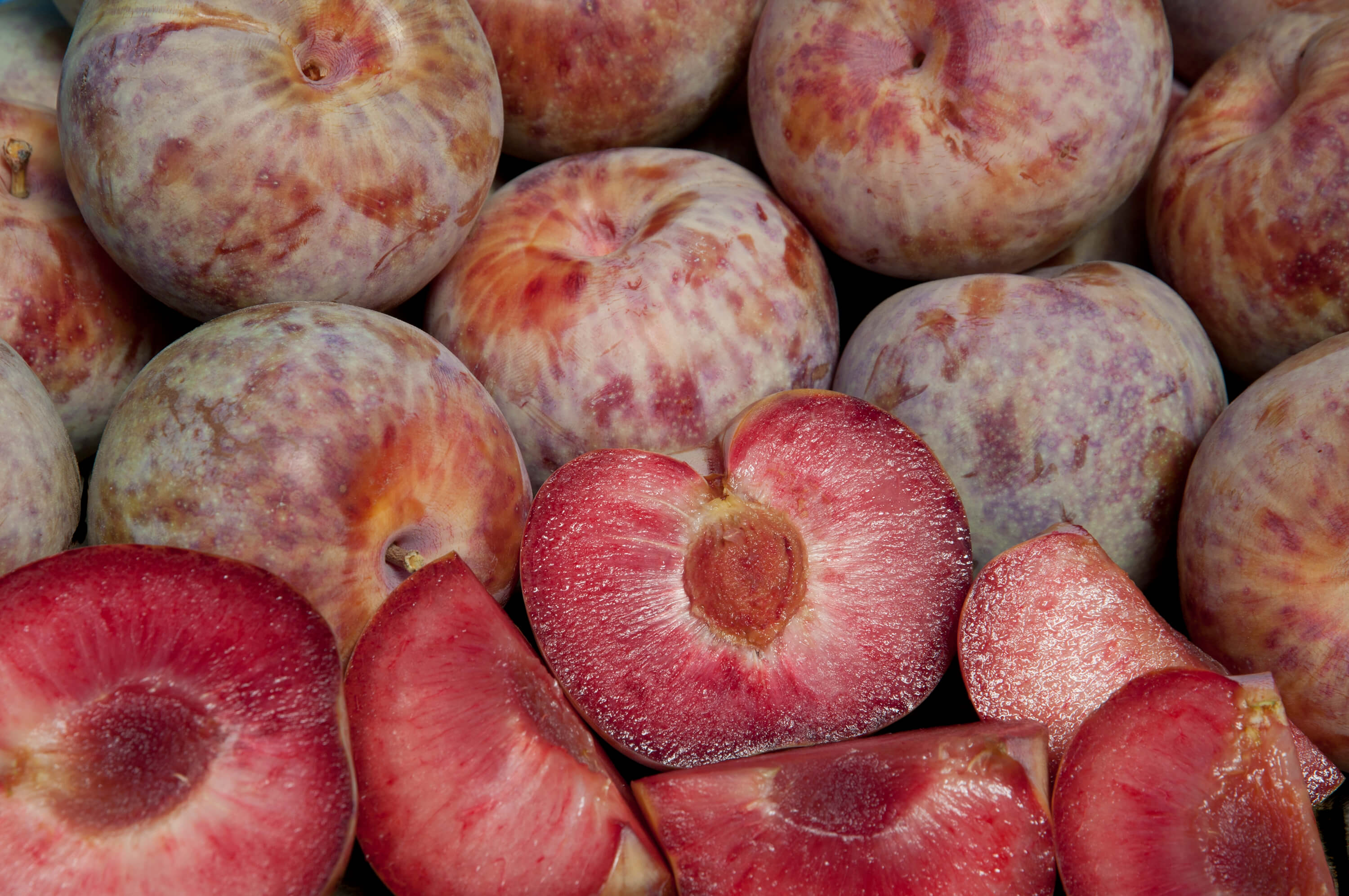 Pluots Plumcots Pluerries Etc: Dapple Dandy Pluot - Standard